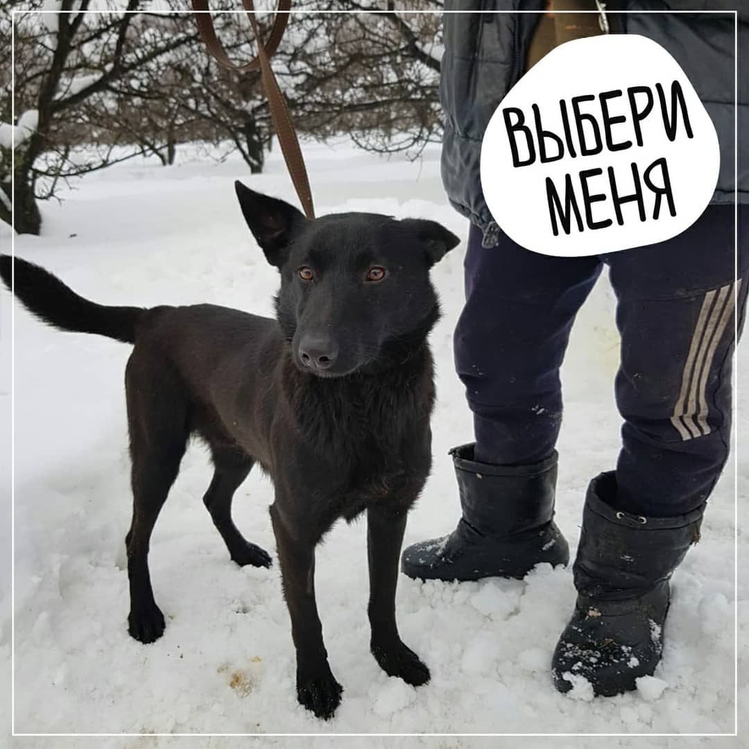 Клиф